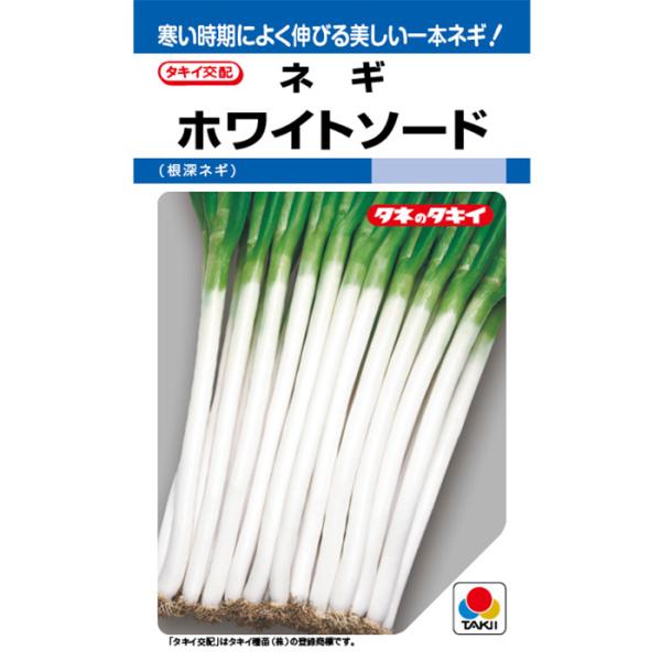 商品名：ホワイトソードホワイトスターより細身で秋口から伸びるタイプ。安定した伸びと太り！ そろい性にすぐれ秀品率のよい一本ネギ！特長1. 低温伸長性にすぐれ、太りとそろいがよく、秀品率が高い合黒系一本ネギ。2. 首部の形状やしまりがよく、ば...