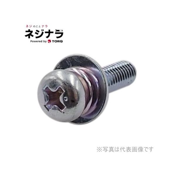 座金組み込みのセムスねじです。十字穴付きのナベ小ねじに、JISの丸座とスプリングワッシャーが一体になっています。