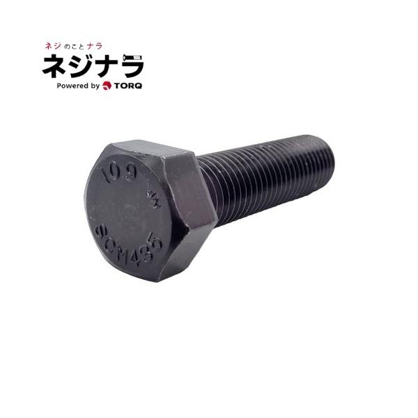 強度が保証されている六角ボルトです。小数点よりも上の数値は強度レベルを、小数点以下の数値は引張強さと降伏点応力または耐力との比を意味します。10.9：呼び引張強さ10×100(N/mm2)=1000(N/mm2)に対して0.9倍、すなわち呼...