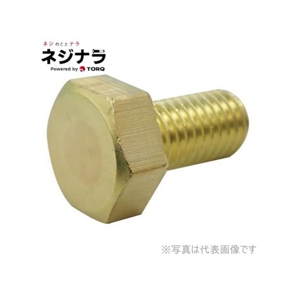頭の形が六角柱形状をしたボルトです。首下はすべてねじが切ってあります。