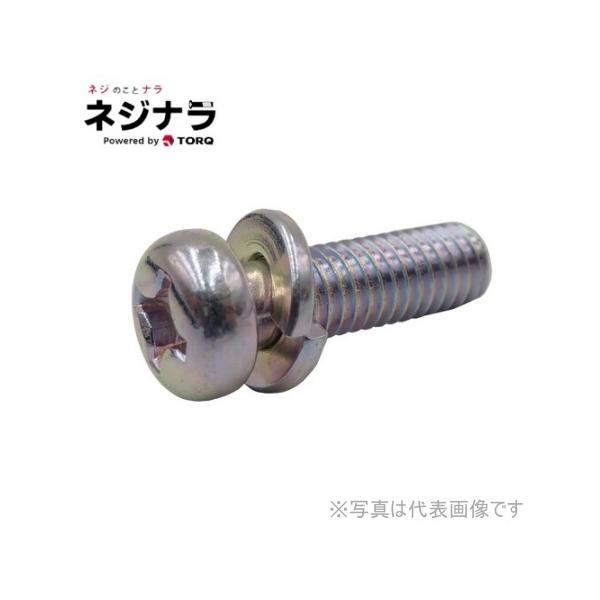 座金組み込みのセムスねじです。十字穴付きのナベ小ねじとスプリングワッシャーが一体になっています。