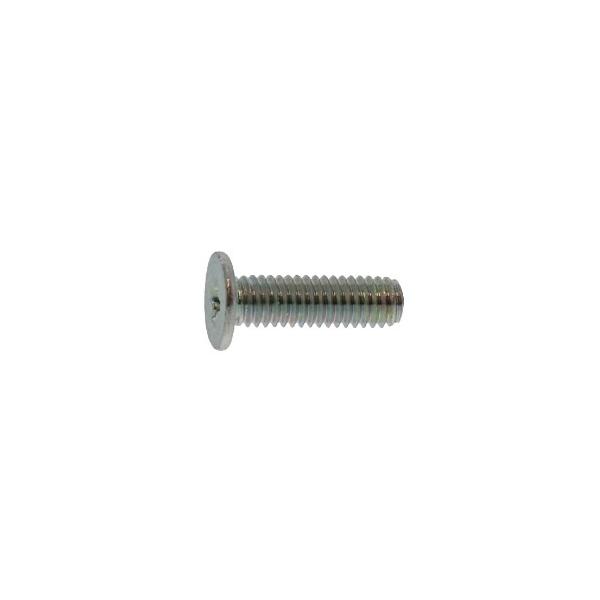 ■説明：頭部が厚さが薄い十字穴付き平頭の小ねじです。■材質：鉄■処理：ニッケルめっき■寸法の呼び方：(ねじの呼びd)x(長さL)