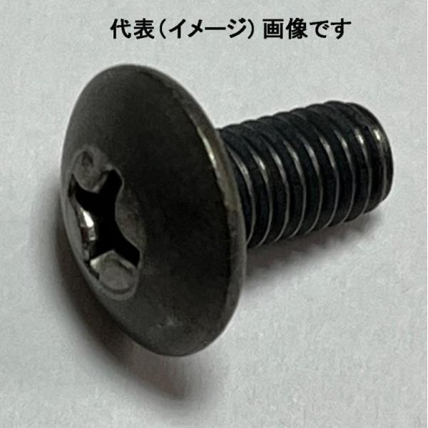 チタントラス小ネジ M4X12L(L寸は首下表記です)軽量・高耐食なチタントラス小ネジの販売コーナーです。トラスネジは頭がなだらかな形状なので引っかかりにくく、通路など人の出入りがある場所に使用しても安全性が高く、見た目もスッキリします。ま...