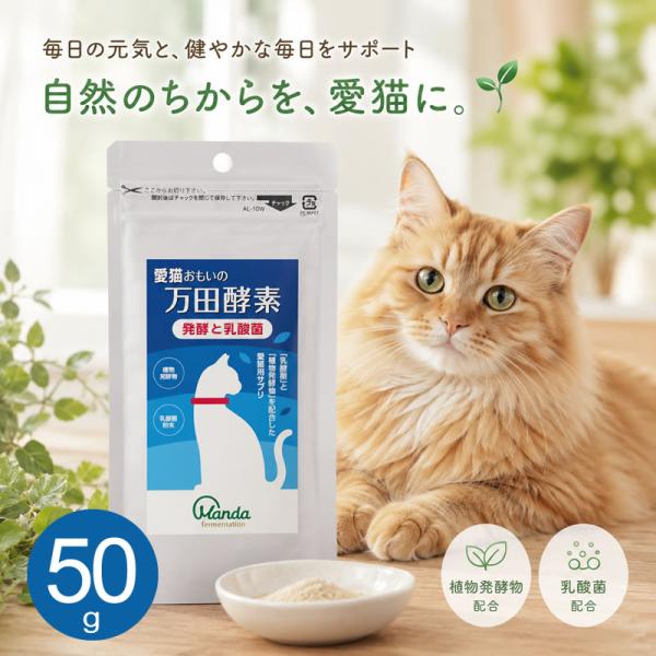植物発酵物と乳酸菌を配合した猫用サプリメントです。発酵×乳酸菌で腸内の健康をサポートします。万田酵素は53種類の植物性原材料を3年3ヵ月以上発酵・熟成させた発酵食品です。本品は、植物発酵物をメーカー従来品(愛猫おもいの万田酵素 関節ケア・口...