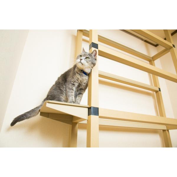 猫が飛び跳ねるための足場となるサイドステップ。ニャンダフルシェルフシリーズにぴったりと取り付けられる専用オプション品です。