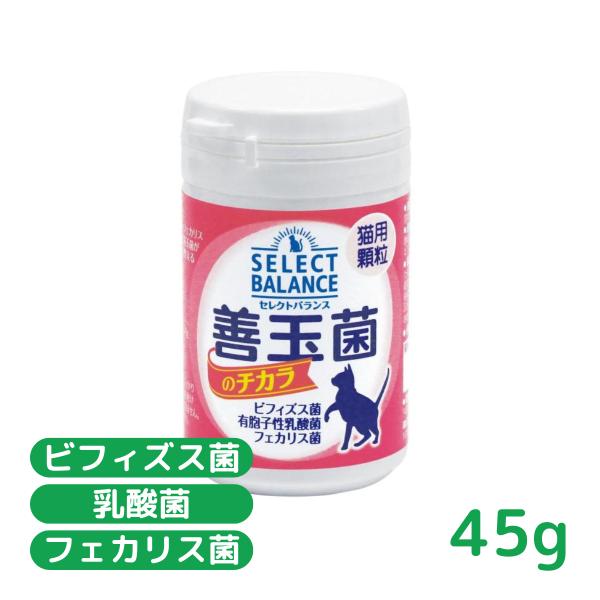 大切な家族に善玉菌のチカラで腸活をサポート【内容量】45g【原材料】澱粉、コーンスターチ、脱脂粉乳、ビール酵母、ショ糖、オリゴ糖、ササミパウダー、ラクトフェリン、ビフィズス菌、有胞子性乳酸菌、フェカリス菌【保証成分】たんぱく質 8.8%以上...
