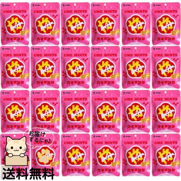 ウメミンツ パウチ(23g)が24袋の大容量リピート向けセットです！ちょっぴり酸っぱい梅味のミンツです！パウチになって持ち運びに便利！クリックポスト配送のためポスト投函となります。複数個購入の場合、複数口の発送または宅配便に変更となる場合が...
