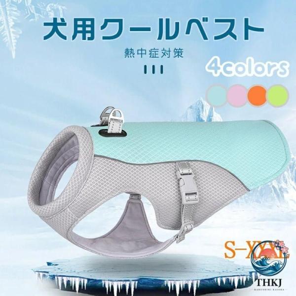 &amp;lt;img src="FILE:///G:￥黒?1￥data￥20260828163019_ItemPic￥pcpfy0000062460460093_desc_1.jpg"  height="100%"            ...