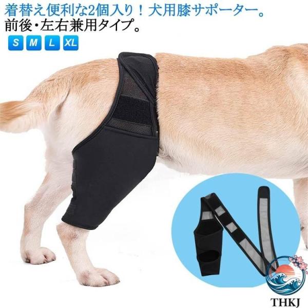 2個入り リハビリ プロテクター 関節プロテクター 前後左右兼用 関節保護 保護 固定 靭帯 脱臼 サポーター 犬用 介護 歩行補助 犬 ペット用品 膝 ケア用品 後ろ
