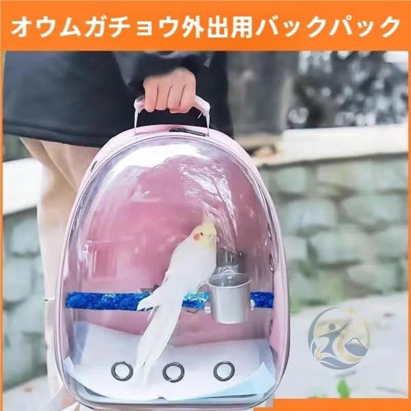 鳥用 リュック お出かけ 外出 通気 持ち運び便利 止まり木付き 組み立て簡単 ケージ バッグ インコ 鳥 かご 移動 ペット オウム 病院 旅行