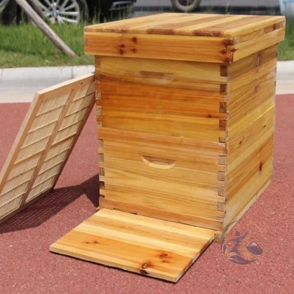 *商品仕様：素材：杉材：重量：約11950g ；サイズ：約 55x45x59cm*養蜂製品：完全なセット、簡単な組み立ては、非常に実用的な養蜂製品です。蜂蜜をより安全で、より自然で新鮮なものにすることができます。養蜂家にとって理想的なツール...