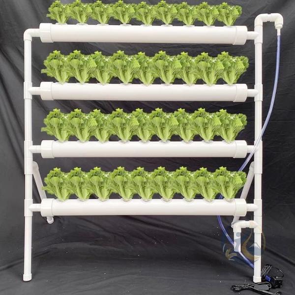 水耕栽培キット すいこう栽培キット いちご 野菜 栽培キット 室内 家庭菜園 水耕栽培セット プランター36穴 (36 穴)