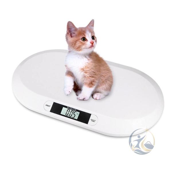 ペット 体重計 デジタル ペット体重計り 小型 電池式 薄型 小型犬 猫 ウサギ 体重管理 ペット用 スケール 計量 10g単位 20kg