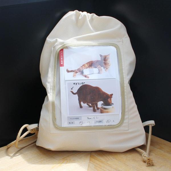 ネコ専用の防災セット。何を揃えたら良いか分からず準備が後回しになっている方ご必見。猫用品専門店がおすすめする非常用避難グッズです。