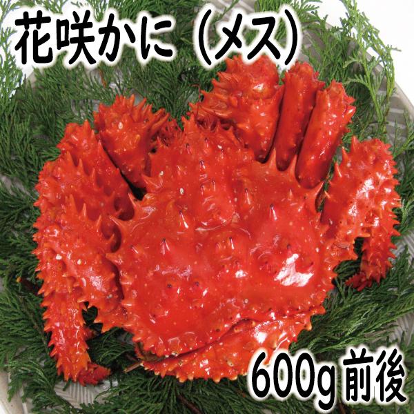 【発売日：2019年07月11日】■重量：600ｇ前後×1尾■産地、加工地：北海道根室（ボイル冷凍）■身入り　7〜8割ほど爆買　花咲蟹　北海道　根室　カニ　かに　蟹　御歳暮　お中元　敬老の日　詰め合わせ　セット　ギフト　　早期割引 父の日 ＢＢＱ