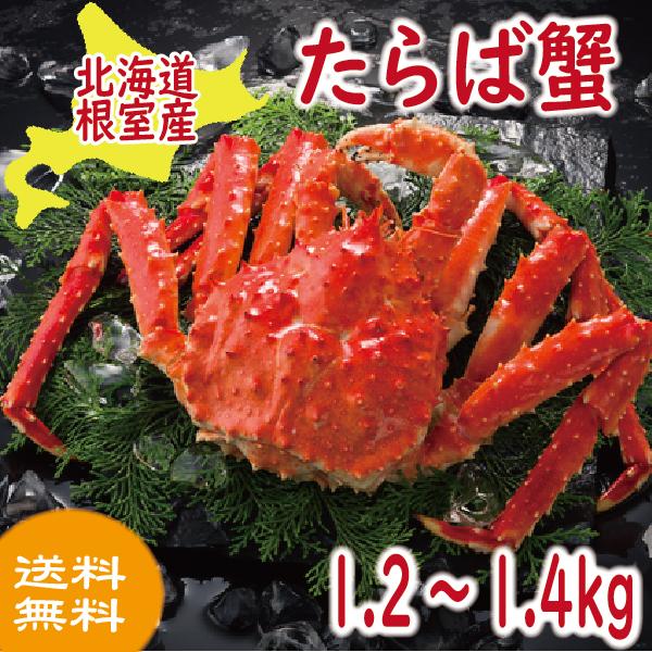 【発売日：2026年07月08日】北海道根室で水揚げされた活たらば蟹を加工！実入り7〜８割ほどたらば　たらば蟹　北海道　根室　カニ　かに　蟹　御歳暮　御中元　詰め合わせ　セット　ギフト　