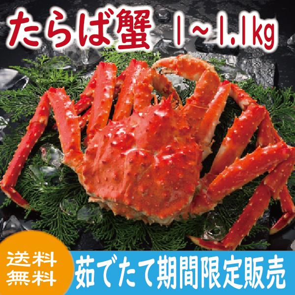 【発売日：2026年07月08日】北海道根室で水揚げされた活たらば蟹を加工！実入り7〜８割ほど沖縄 別途送料2100円ご負担願います。茹でた蟹を冷蔵でお送りするため冷凍商品との同梱は不可とさせていただきます。沖縄、離島へのお届けは日数を要す...