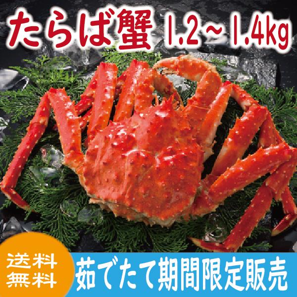 【発売日：2026年07月08日】北海道根室で水揚げされた活たらば蟹を加工！実入り7〜８割ほど茹でた蟹を冷蔵でお送りするため冷凍商品との同梱は不可とさせていただきます。沖縄 別途送料2100円ご負担願います。沖縄、離島へのお届けは日数を要す...