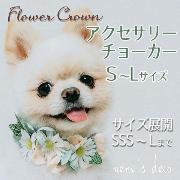 フレッシュなマーガレットやミントの花冠チョーカー。小型犬・中型犬用です。ドライフラワー仕様の高級造花でお作りした、花冠タイプのチョーカー。可愛らしいペット用花飾りです。アーティフィシャルフラワー（高級造花）でお作りした花冠アクセサリーチョー...