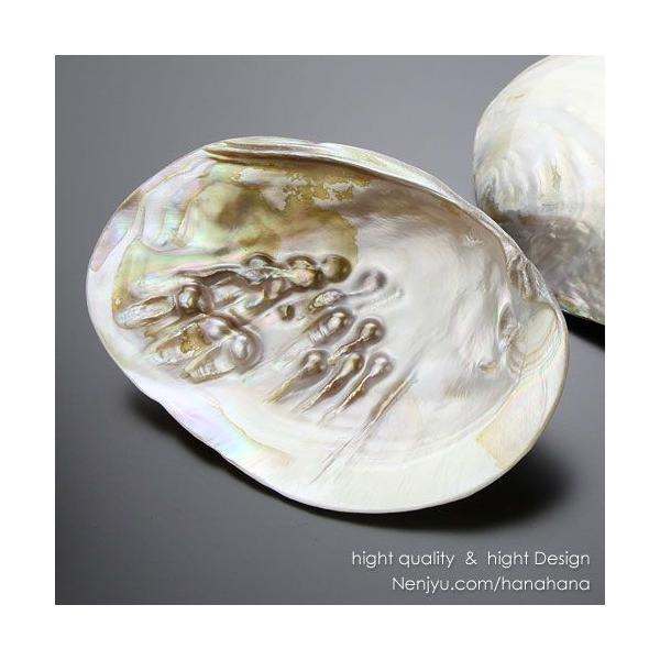 ブレスレットを浄化するための専用プレートでございます。天然のイケチョウ貝を使用し、表裏ともに丁寧に磨き上げております。写真のようにさざれ石を入れ、その上にブレスレットを置いて浄化にお使い頂けます。美しい光沢があり、インテリアとしてもお楽しみ...