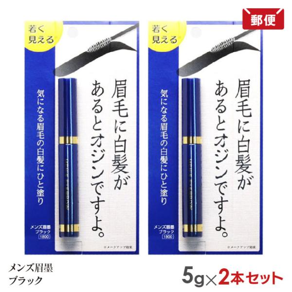 【メール便送料無料】〜気になる眉毛の白髪にひと塗り〜 単品 2本セット 白髪隠し 眉マスカラ 眉毛 まゆ墨 アイブロウ 黒 日本製2本セット メンズ 眉墨 ブラック 5g ビナ薬粧 眉ずみ まゆずみ【関連ワード】ビナ薬粧 メンズ 男性 眉墨...