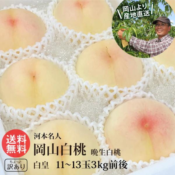 岡山 白桃 白皇 11〜13玉のし対応 ギフト 贈答用 ご進物 ご自宅用おかやま 河本名人 河本さん 秋めぐり 晩成白桃 桃 硬い 固い かたいNEW/2023年第2回全国桃選手権にて入賞しました。こうもと農園（岡山県赤磐市）ご注文前にお読...