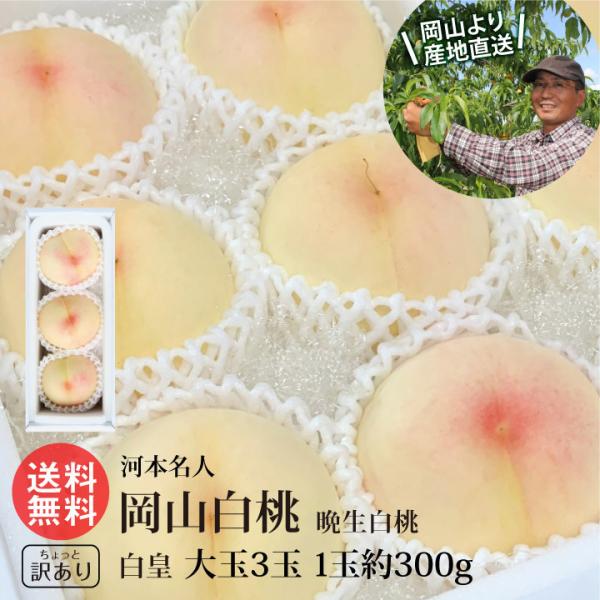 岡山 白桃 白皇 大玉 3玉のし対応 ギフト 贈答用 ご進物 ご自宅用おかやま 河本名人 河本さん 秋めぐり 晩成白桃 桃 硬い 固い かたいNEW/2023年第2回全国桃選手権にて入賞しました。こうもと農園（岡山県赤磐市）ご注文前にお読み...