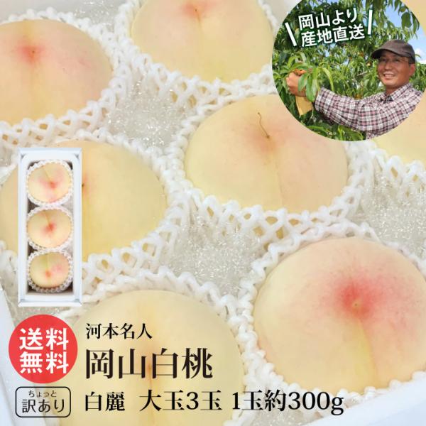 送料無料 岡山県赤磐市より農家直送 渋みのない白桃 ご自宅用 御中元 贈答用にもNEW/2023年第2回全国桃選手権にて入賞しました。こうもと農園（岡山県赤磐市）岡山白桃 白麗 はくれい 大玉3玉 1玉約300g 訳あり 3個 お中元 夏 ...