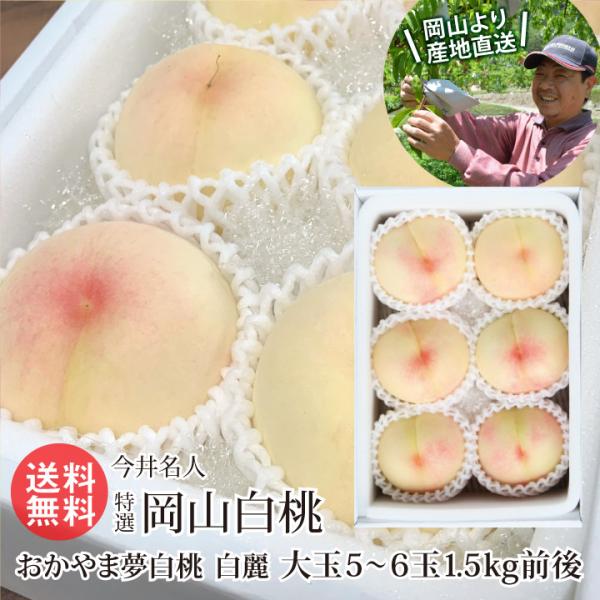送料無料 岡山県赤磐市より農家直送 とろける白桃を 御中元 暑中見舞い 贈答用 ご進物 ご自宅用に！NEW/2023年第2回全国桃選手権にて金賞を受賞しました。株式会社あみかフルーツ（岡山県赤磐市）今井名人 特選 岡山白桃 5〜6玉 1.5...