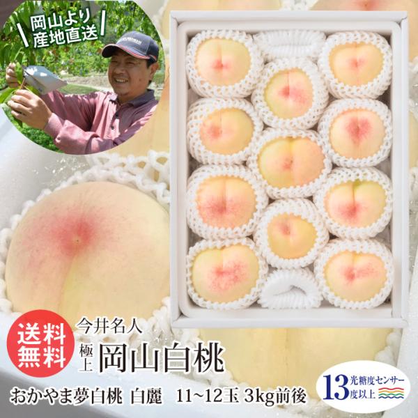 送料無料 岡山県赤磐市より農家直送 とろける白桃を 御中元 暑中見舞い 贈答用 ご進物 ご自宅用に！NEW/2023年第2回全国桃選手権にて金賞を受賞しました。株式会社あみかフルーツ（岡山県赤磐市）今井名人 極上 岡山白桃 11〜12玉 3...