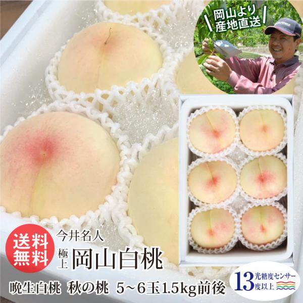 今井名人 極上 岡山白桃 晩成白桃 5〜6玉 1.5kg前後ロイヤル級厳選平均糖度13度以上秋めぐり 贈答用 ご進物 ご自宅用 ギフト 岡山 産地直送光センサー 糖度 13度以上NEW/2023年第2回全国桃選手権にて金賞を受賞しました。株...