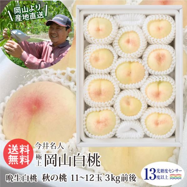 今井名人 特選 岡山白桃 晩成白桃 11〜12玉 3kg前後ロイヤル級厳選平均糖度13度以上秋めぐり 贈答用 ご進物 ご自宅用 ギフト 岡山 産地直送光センサー 糖度 13度以上NEW/2023年第2回全国桃選手権にて金賞を受賞しました。株...