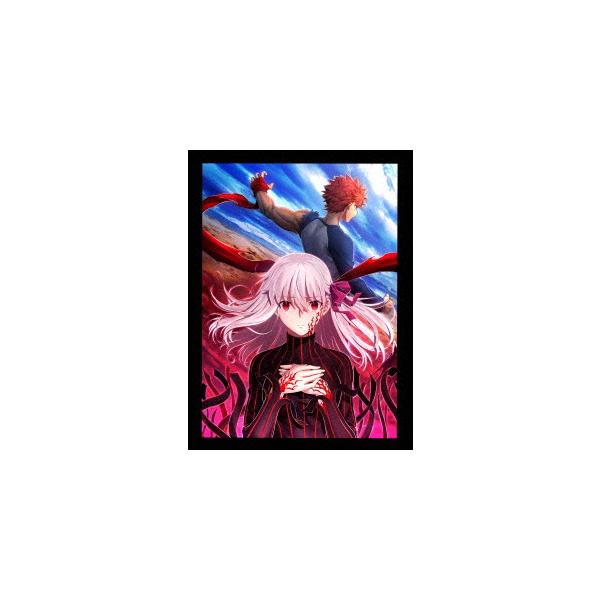【発売日：2021年03月31日】アニメ/劇場版「Fate/stay night [Heaven's Feel] III.spring song」 [通常版]、メディア：DVD、発売日：2021/03/31、商品コード：ANSB-14407...