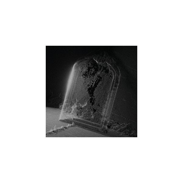 【発売日：2026年05月22日】ビジブル・クロークス/パラデッセンス、メディア：CDA、発売日：2026/05/22、商品コード：ARTPL-254、JANコード/ISBNコード：4582561405815