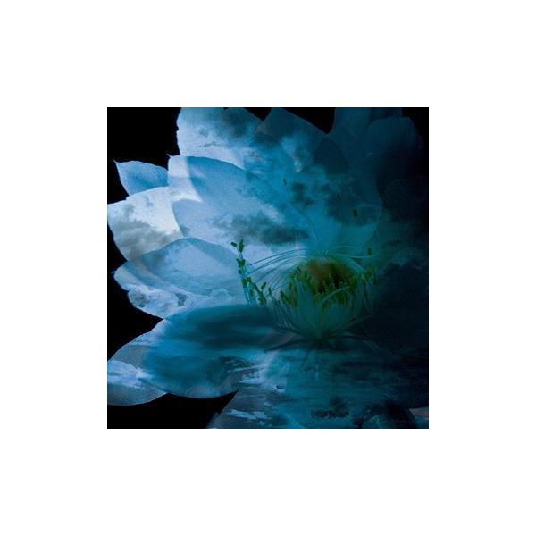 【発売日：2007年12月19日】オムニバス/LUNA SEA MEMORIAL COVER ALBUM -Re:birth-、メディア：CDA、発売日：2007/12/19、商品コード：AVCD-23430、JANコード/ISBNコード：...