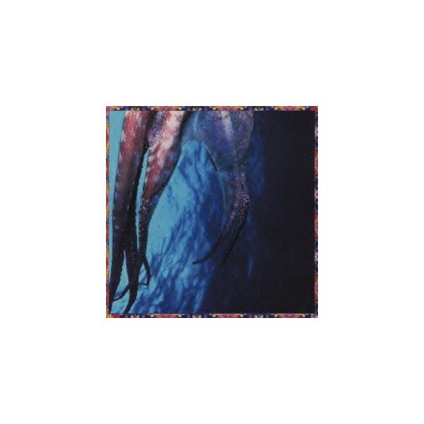 【発売日：2002年09月19日】TIME OF ORCHIDS/MELONWHISPER、メディア：CDA、発売日：2002/09/19、商品コード：BACY-28、JANコード/ISBNコード：4511552800391