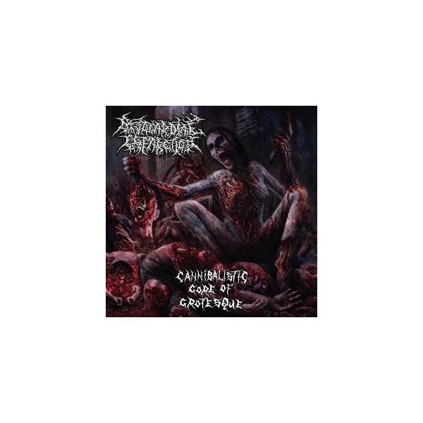 【発売日：2015年08月14日】Myocardial Infarction/Cannibalistic Gore Of Grotesque、メディア：CDA、発売日：2015/08/14、商品コード：BCE009-2015、JANコード/...