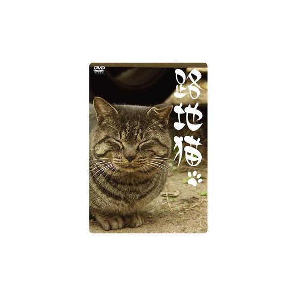 【発売日：2008年11月28日】趣味教養/路地猫、メディア：DVD、発売日：2008/11/28、商品コード：BIBE-7678、JANコード/ISBNコード：4907953026766