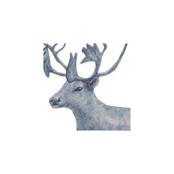 【発売日：2016年01月27日】中島孝/RAFT、メディア：CDA、発売日：2016/01/27、商品コード：BMEJ-11、JANコード/ISBNコード：4562166393809