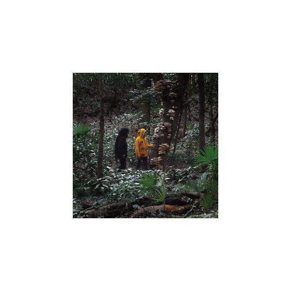 【発売日：2017年02月25日】20GUILDERS/2、メディア：CDA、発売日：2017/02/25、商品コード：CD95-67、JANコード/ISBNコード：4582237836943