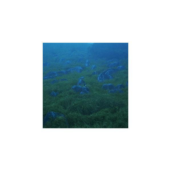 【発売日：2023年11月29日】She Her Her Hers/Diffusion of Responsibility、メディア：CDA、発売日：2023/11/29、商品コード：CNDT-2、JANコード/ISBNコード：452219...