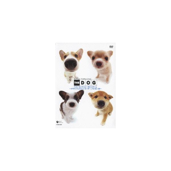 【発売日：2010年02月24日】趣味教養/THE DOG ベスト・セレクション きらっこチーム〜チワワ、コーギー、パピオン、柴〜、メディア：DVD、発売日：2010/02/24、商品コード：COBM-5682、JANコード/ISBNコード...