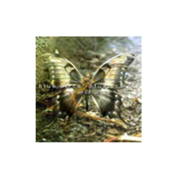 【発売日：2007年06月06日】BLUE BIRDS REFUSE TO FLY/Anapteroma、メディア：CDA、発売日：2007/06/06、商品コード：DAKCRDB-78、JANコード/ISBNコード：4948722322979