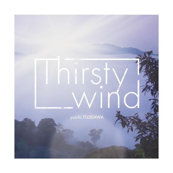 【発売日：2017年10月25日】藤澤由一 (yuichi FUJISAWA)/Thirsty wind、メディア：CDA、発売日：2017/10/25、商品コード：DAKITLB-1107、JANコード/ISBNコード：456229246...