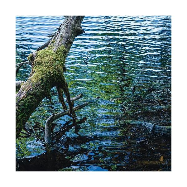 【発売日：2021年10月27日】菅原一樹/Where wind arises、メディア：CDA、発売日：2021/10/27、商品コード：DAKITLB-1144、JANコード/ISBNコード：4582500633286