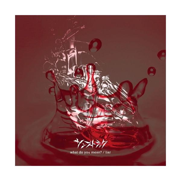 【発売日：2017年02月24日】サンズトラック/what do you mean?、メディア：CDA、発売日：2017/02/24、商品コード：DAKONSS-3034、JANコード/ISBNコード：4525118067005