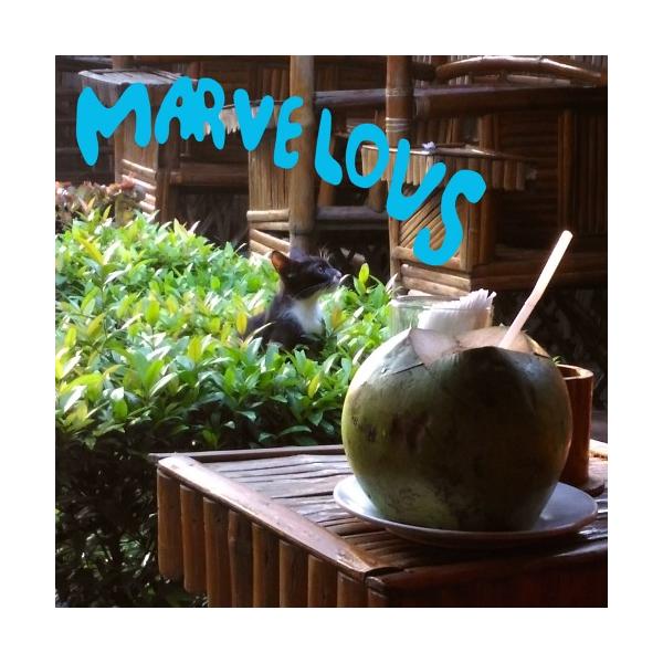 【発売日：2016年08月10日】マーヴェラス・マーク/パーフェクト [Japan Limited Edition]、メディア：CDA、発売日：2016/08/10、商品コード：DAKPPAR-2、JANコード/ISBNコード：452219...