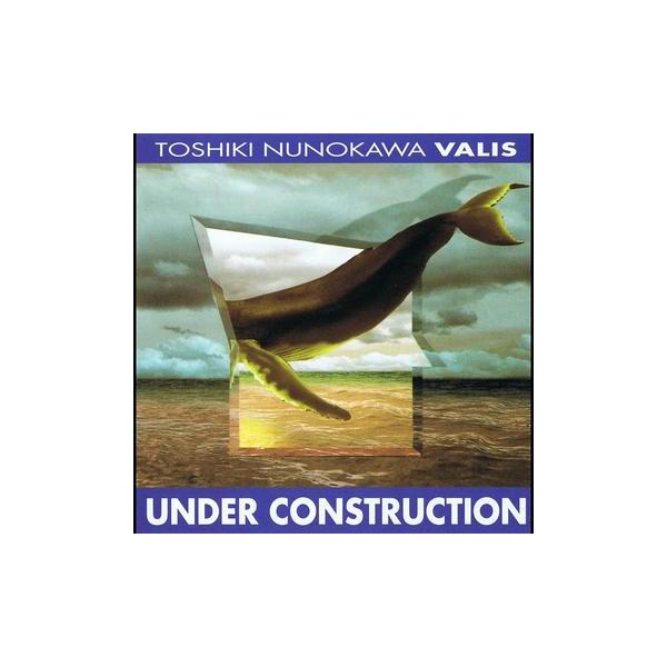 【発売日：1999年11月22日】布川俊樹 VALIS/UNDER CONSTRUCTION、メディア：CDA、発売日：1999/11/22、商品コード：DAKSHCZ-3、JANコード/ISBNコード：4948722032120
