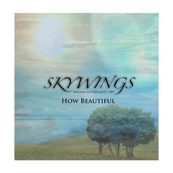 【発売日：2021年02月24日】SKYWINGS/How Beautiful、メディア：CDA、発売日：2021/02/24、商品コード：DAKSTMD-10、JANコード/ISBNコード：4582500632494