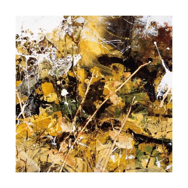 【発売日：2017年03月15日】Tiny Leaves/Notes On Belonging、メディア：CDA、発売日：2017/03/15、商品コード：DAKSVTPG-2、JANコード/ISBNコード：4522197125442